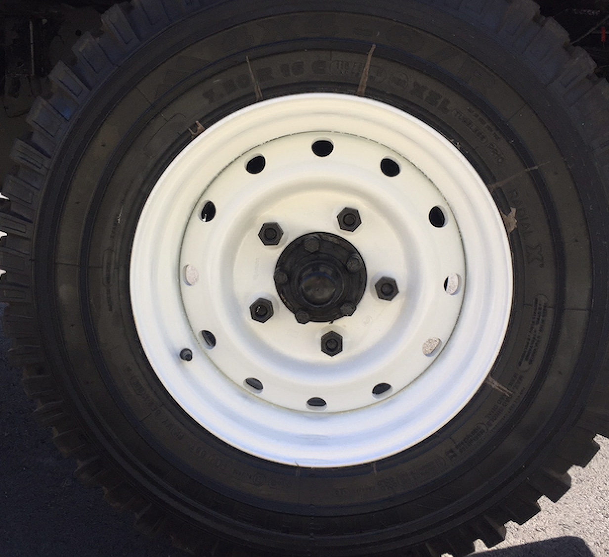 What's New At Landybitz? Wolf Rim Special